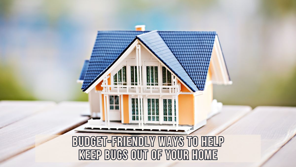 Budget-Friendly Ways To Help Keep Bugs Out of Your Home - The Dollar ...